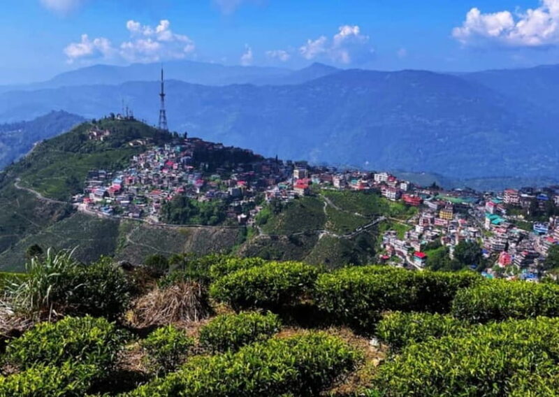 Kurseong: White Orchid Trail Hike with Hotel Pickup - What the Tour Entails: A Detailed Look at the Experience