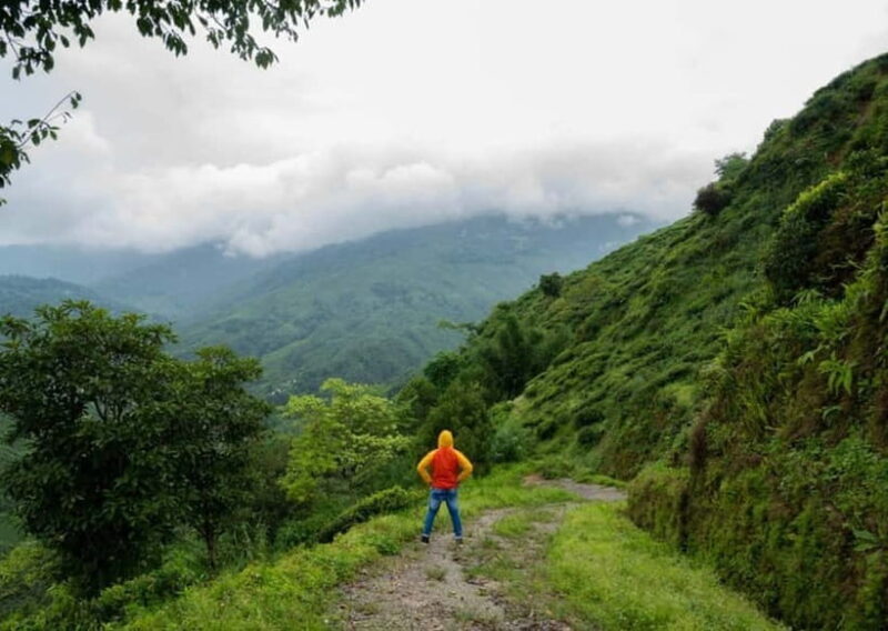 Kurseong: White Orchid Trail Hike with Hotel Pickup - What to Bring & What to Expect
