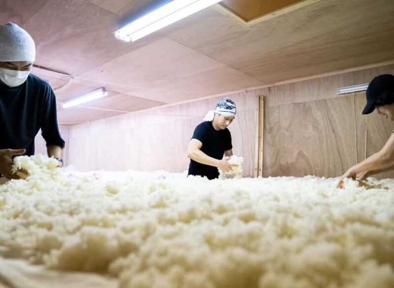 Kurume: Yamanokotobuki Sake Brewery Tour and Tasting - Tasting the Fruits of Their Labor