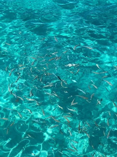 Kusadasi: Aegean Sea Boat Tour with Lunch - Frequently Asked Questions