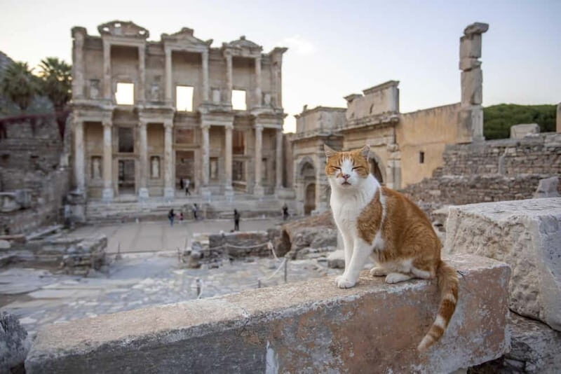 Kusadasi: All Inclusive Ephesus Tour With Lunch - A Deep Dive into the Itinerary