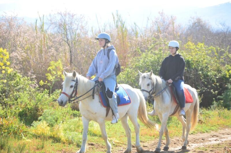 Kusadasi: Beach and Forest Horse Riding Tour - Key Points