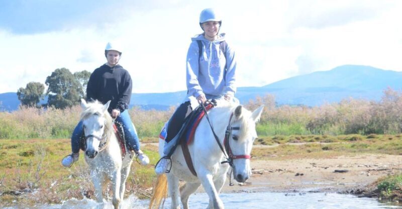 Kusadasi: Beach and Forest Horse Riding Tour - Introduction: What to Expect from the Kusadasi Horse Riding Tour