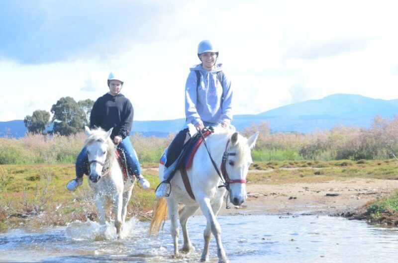 Kusadasi: Beach and Forest Horse Riding Tour - The Scenic Highlights and Why They Matter