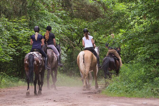 Kusadasi Horse Riding Beach and Forest options with Transfer - Key Points