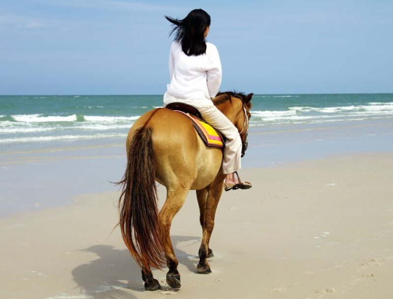 Kusadasi: Horse Riding Beach and Forest w/Transfer - Key Points