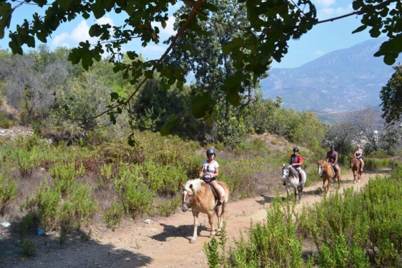 Kusadasi: Horse Riding Beach and Forest w/Transfer - An Authentic Horseback Riding Experience Near Kusadasi