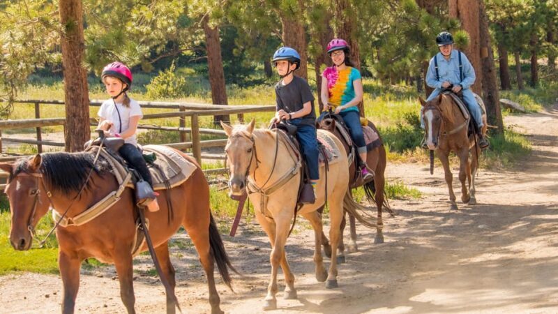 Kusadasi: Horse Riding Beach and Forest w/Transfer - What’s Included and What to Consider