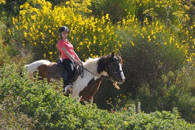 Kusadasi Horse Riding On Beach And Through The River - What We Loved and What to Keep in Mind