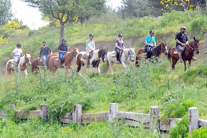 Kusadasi Horse Riding On Beach And Through The River - Final Thoughts: Is This Tour Right for You?