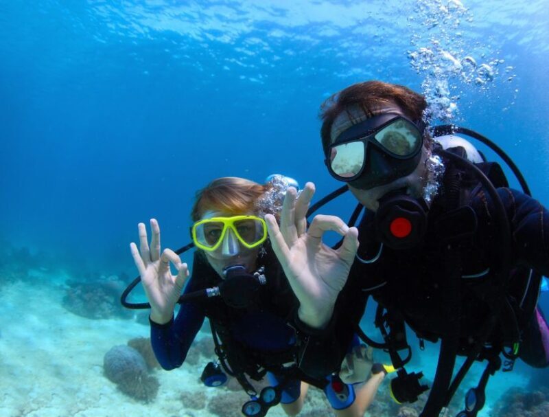 Kusadasi: Scuba Diving for Beginners w/Lunch & Transfer - Key Points