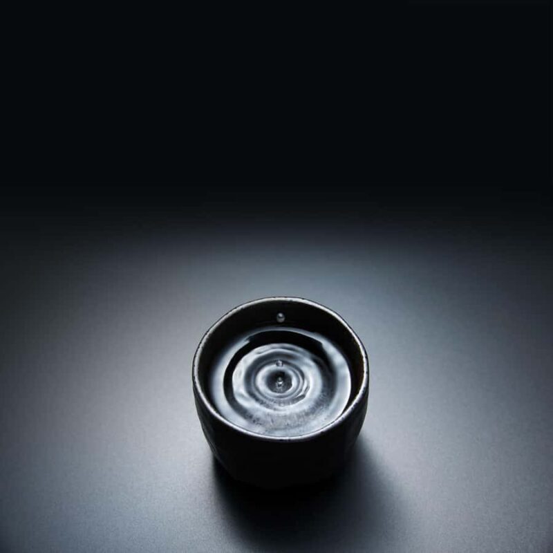 Kusatsu: Ota Sake Brewery Tour with Tasting - The Tasting Experience