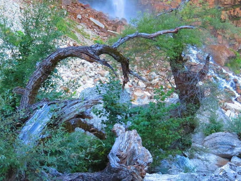 Kutaisi: Martvili, Okatse Canyon, and Prometheus Cave Tour - FAQ