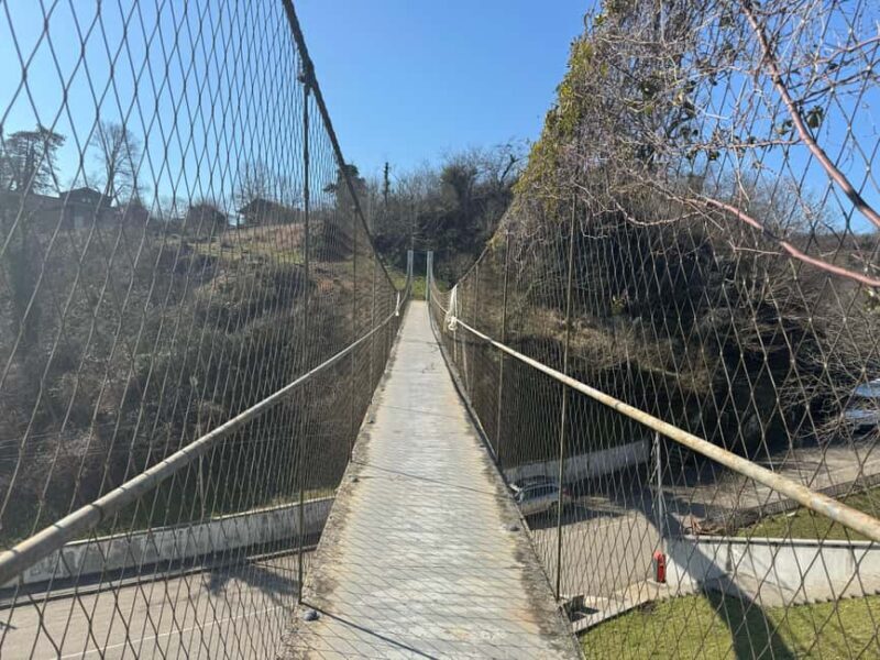 Kutaisi: Vani Archaeological Museum & Sulfur Baths Tour - Key Points