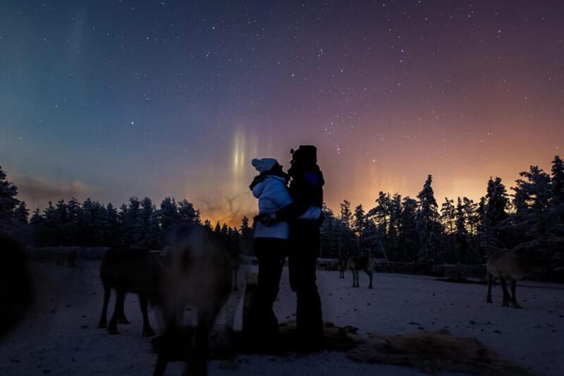 Kuusamo: Reindeer Farm Visit - An Honest Look at the Reindeer Farm Visit in Kuusamo