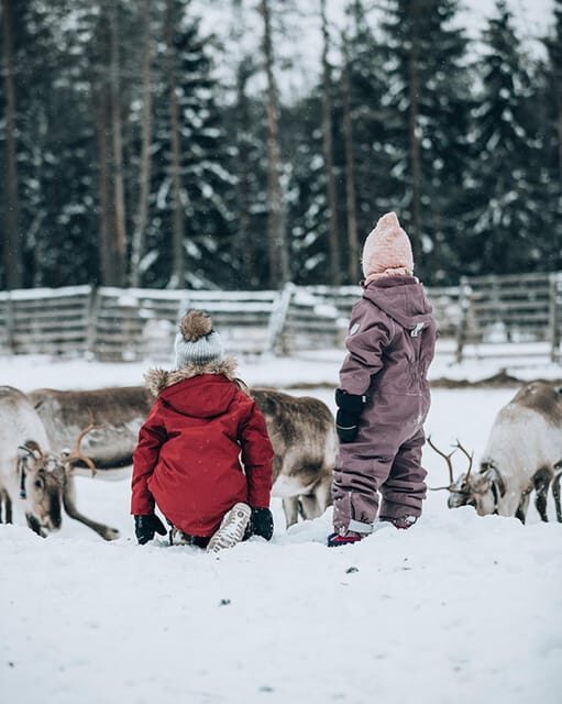 Kuusamo: Reindeer Sleigh Ride and Farm Visit - Key Points