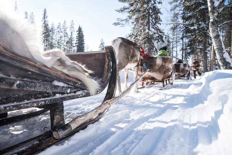 Kuusamo: Reindeer Sleigh Ride and Farm Visit - FAQ