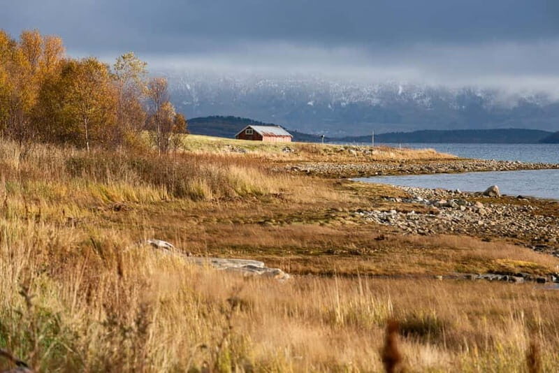Kvaløya Island: Photography Tour with Snacks - What to Expect on the Tour