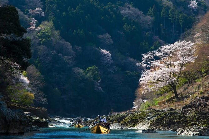 Kyoto 1 Day Suntory Yamazaki Distillery Tour and Asahi Art Museum - The Sum Up