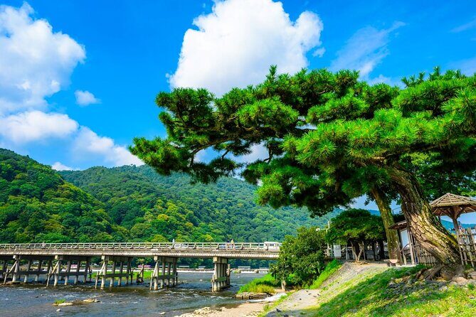 Kyoto 1 Day Tour for Shore Excursion from Osaka or Kobe - A Closer Look at the Itinerary