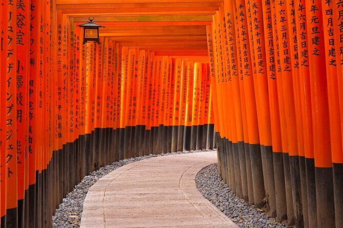 Kyoto 1 Day Tour for Shore Excursion from Osaka or Kobe - Final Thoughts