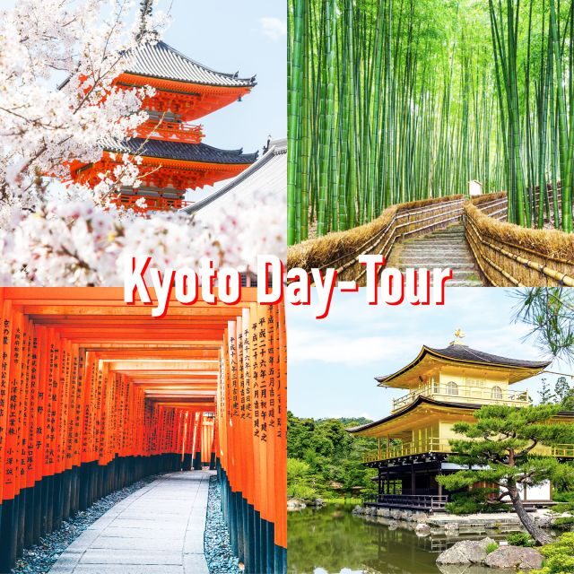 Kyoto: 10-hour Customized Private Tour - Transportation and Comfort