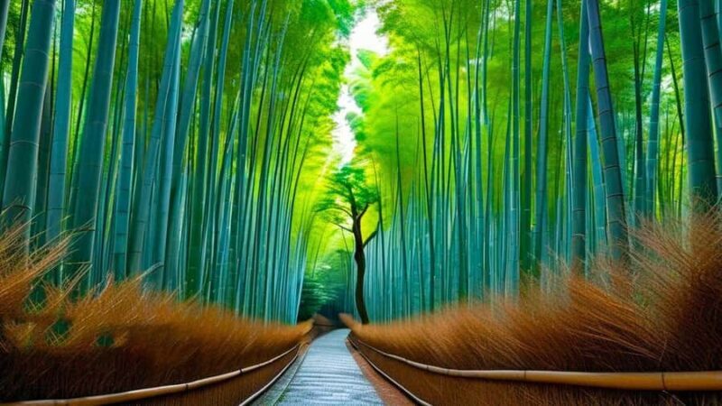 Kyoto: 10-Hour Private Custom Highlights Guided Tour by Car - Who Should Consider This Tour?