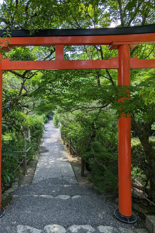 Kyoto: 100% Private Custom Walking Tour (4/8 Hrs) - Authenticity and Comfort