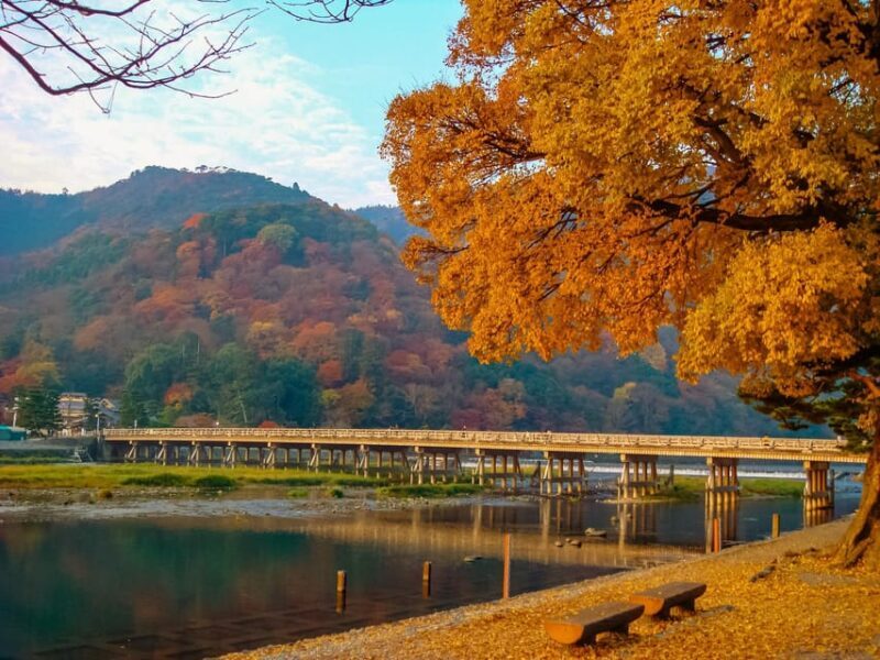 Kyoto: 2-Hour Guided Tour of Arashiyama's Autumn Leaves - Key Points