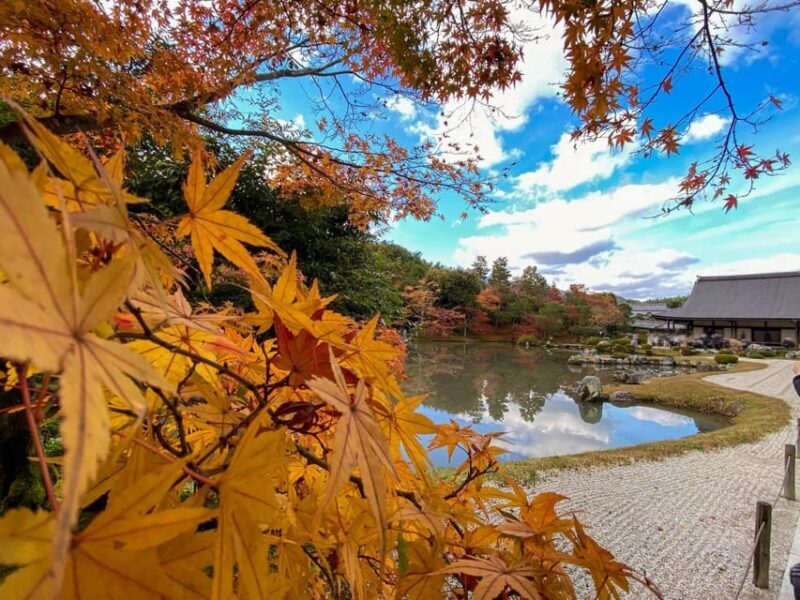 Kyoto: 2-Hour Guided Tour of Arashiyama's Autumn Leaves - Exploring Arashiyama in Autumn: What to Expect