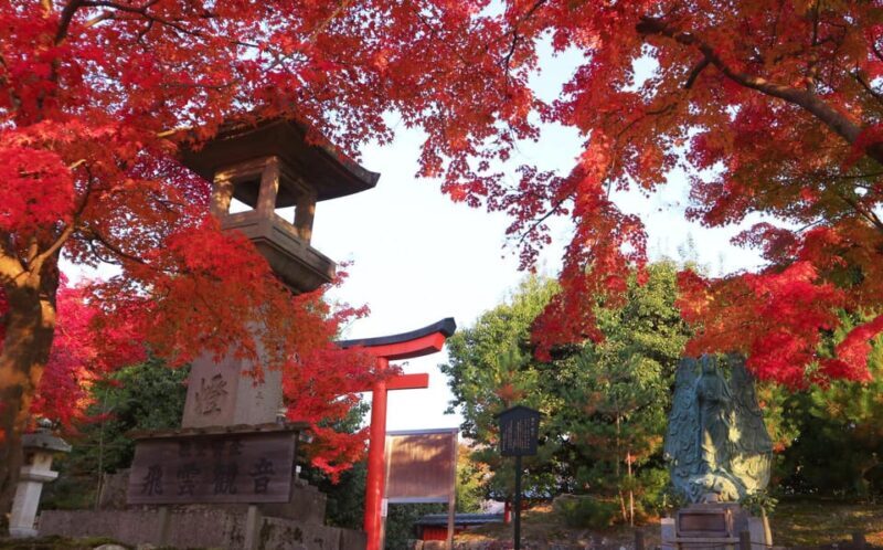 Kyoto: 2-Hour Guided Tour of Arashiyama's Autumn Leaves - What’s Included and What’s Not
