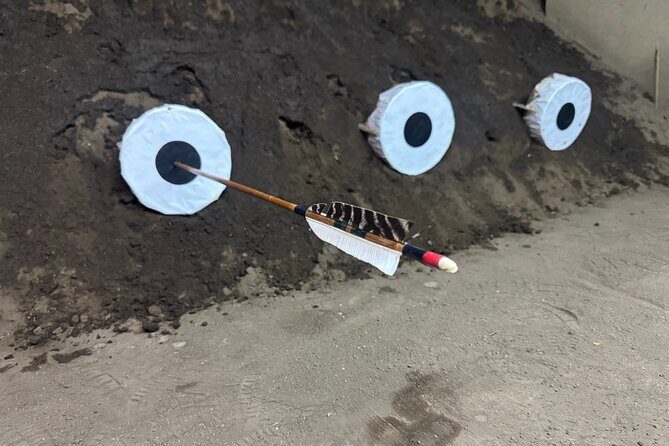 Kyoto 6hr Private Guided Tour & Japanese Archery Experience - A Closer Look at the Tour: What to Expect