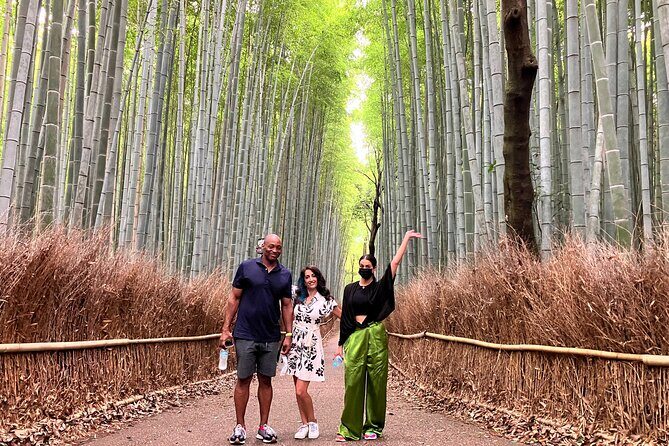 Kyoto 8hr Private Tour with Government-Licensed Guide - Temples and Gardens: Ginkakuji, Nanzenji & Tofuku-ji