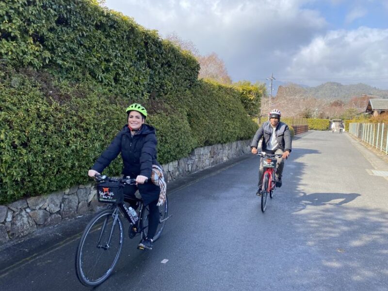 Kyoto: Afternoon Bamboo Forest and Monkey Park Bike Tour - Final Words