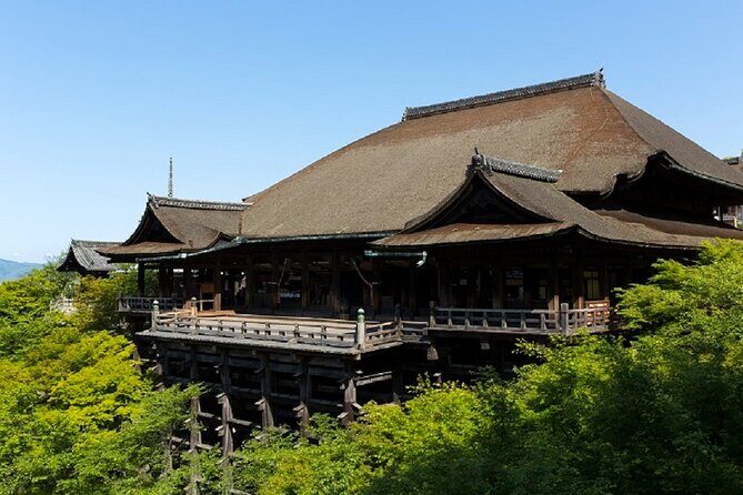 Kyoto Afternoon Tour (Round Trip from Kyoto) - Who Will Love This Tour?
