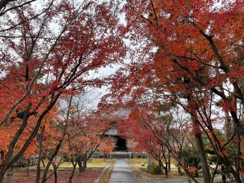 Kyoto: ALL Included Customized Sightseeing Tour with Local - Discovering Kyoto on Your Terms