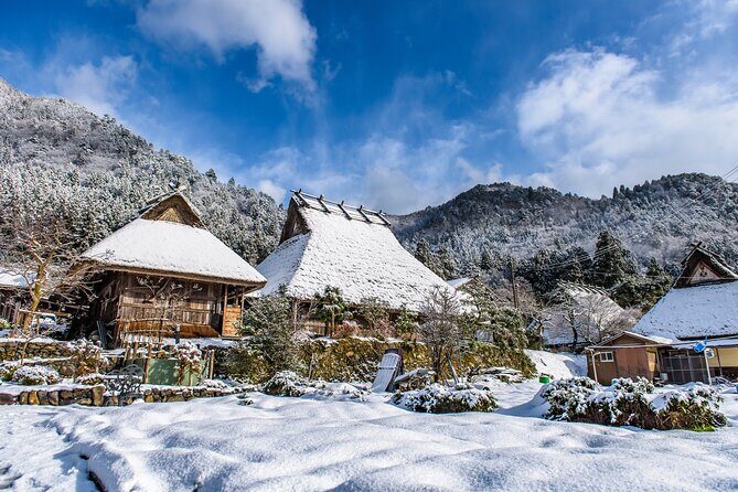 Kyoto and Miyama Full Day Tour from Osaka - Summing Up: Who Will Love This Tour?