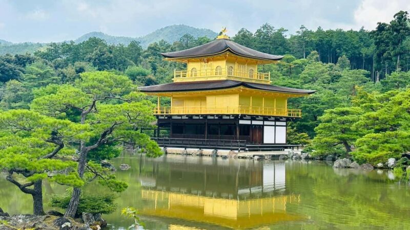 Kyoto and Nara Customised Full Day Private Tour with Pickup - Introduction: What’s This Tour All About?