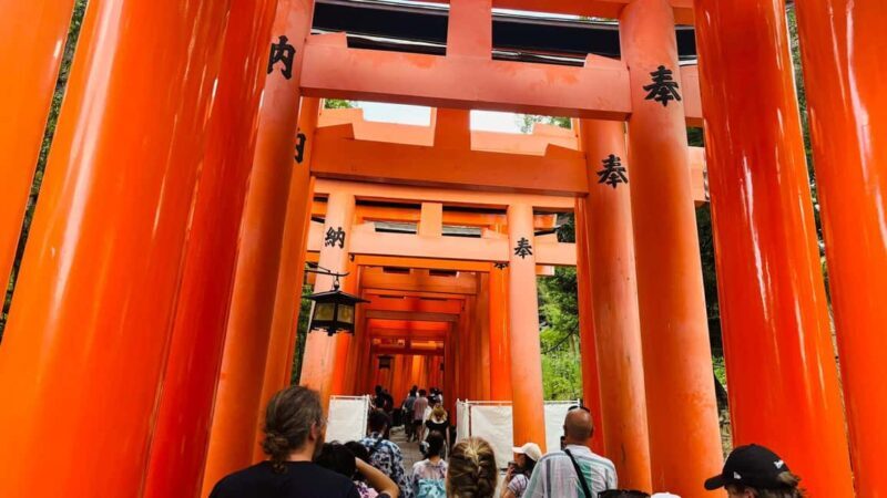 Kyoto and Nara Customised Full Day Private Tour with Pickup - The Sum Up: Who Will Love This Experience?