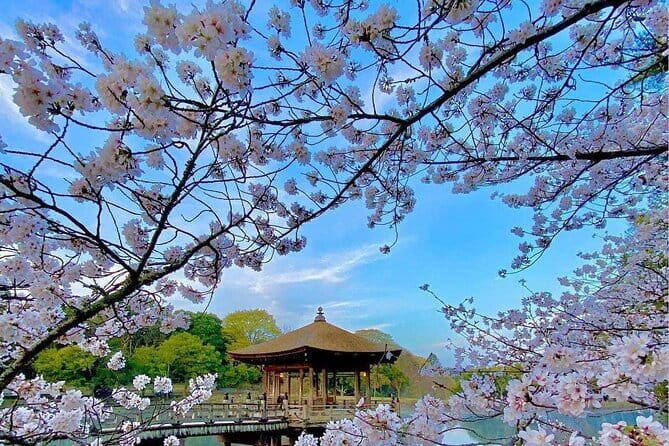 Kyoto and Nara Day Tour from Osaka - A Deep Dive into the Tour Experience