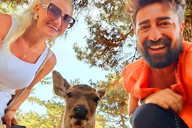 Kyoto and Nara Day Tour From Osaka with Deer Sightings - Key Points