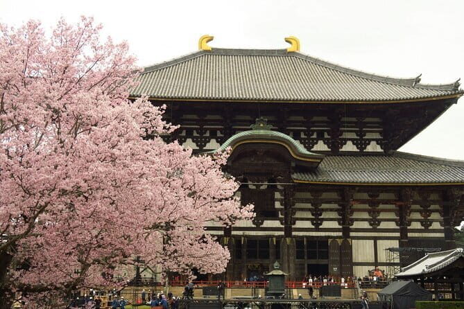 Kyoto and Nara Deer Sightseeing Day Trip From Osaka - Practicalities and Value