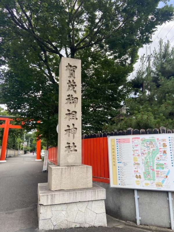 Kyoto and Nara: Discover traditional Japan - What to Expect from the Tour