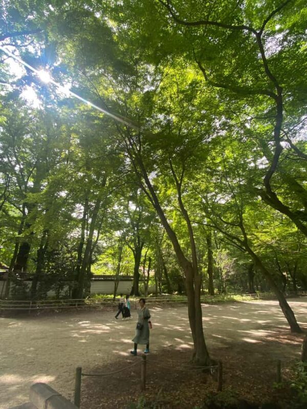 Kyoto and Nara: Discover traditional Japan - Authentic Experiences and Visitor Feedback