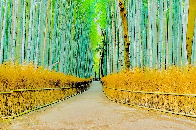 Kyoto and Nara Highlights with English speaking Driver and Guide - FAQ