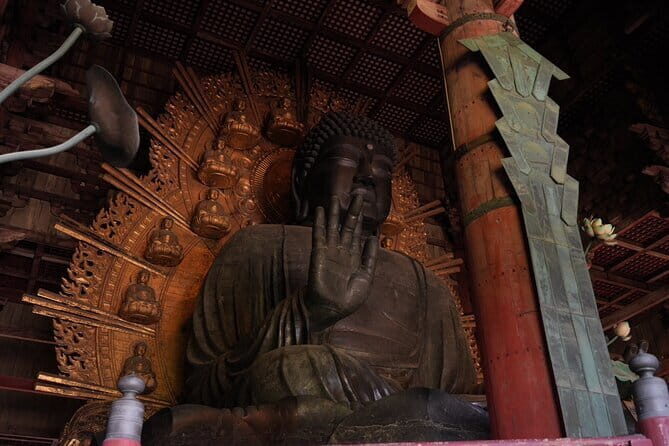 Kyoto and Nara in 1 Day in Fushimi Inari and Deer Park - A Closer Look at the Tour Experience