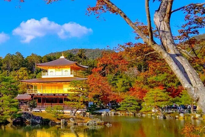 Kyoto and Nara Private Customizable Day Trip by Luxury Car - Exploring Kyoto and Nara on a Private, Custom Day Trip
