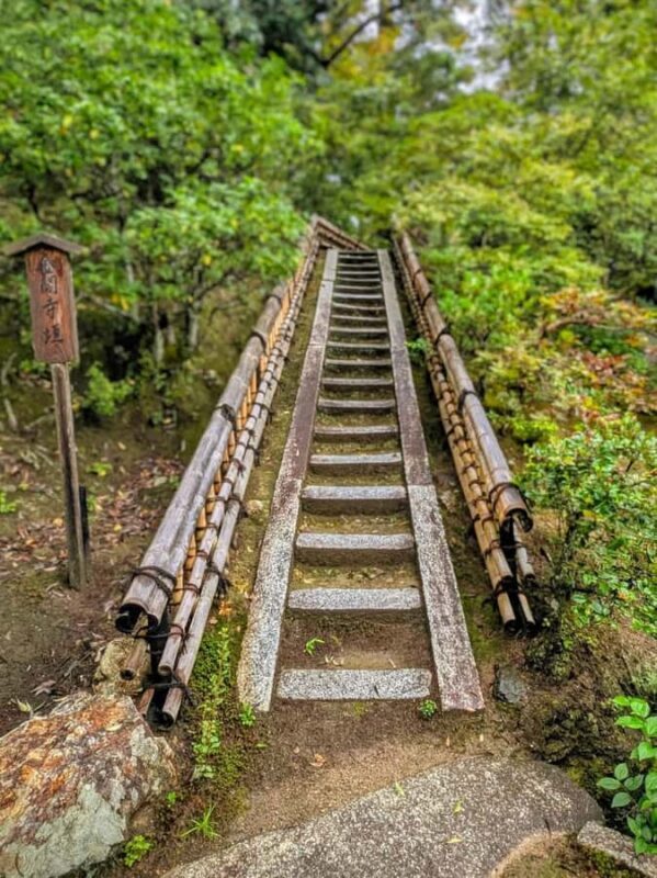 Kyoto and Nara: private tour with English speaking Guide - An In-Depth Look at the Tour Experience