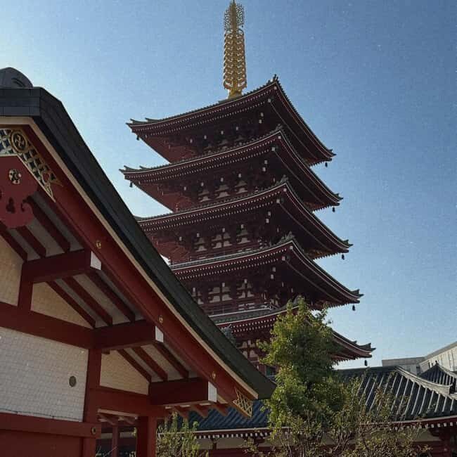Kyoto and Nara: Private Tour with English speaking Guide - What Makes This Tour Stand Out?