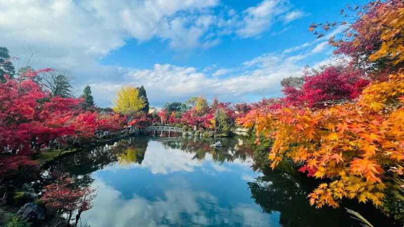 Kyoto and Nara: Private Tour with English speaking Guide - The Experience of Being with a Guide